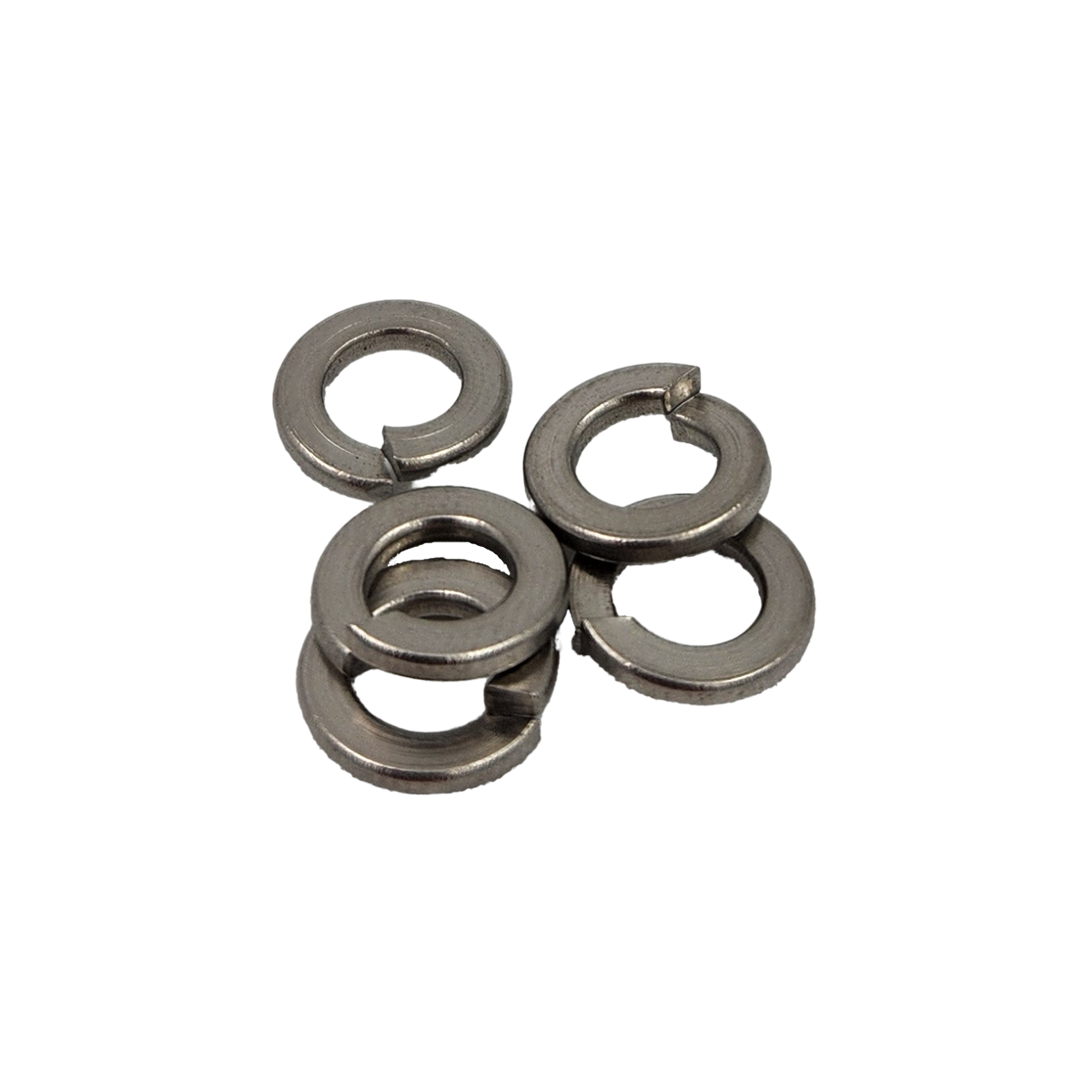 M5 Spring Washer Stainless Steel (Jar100) — Smiths NZ